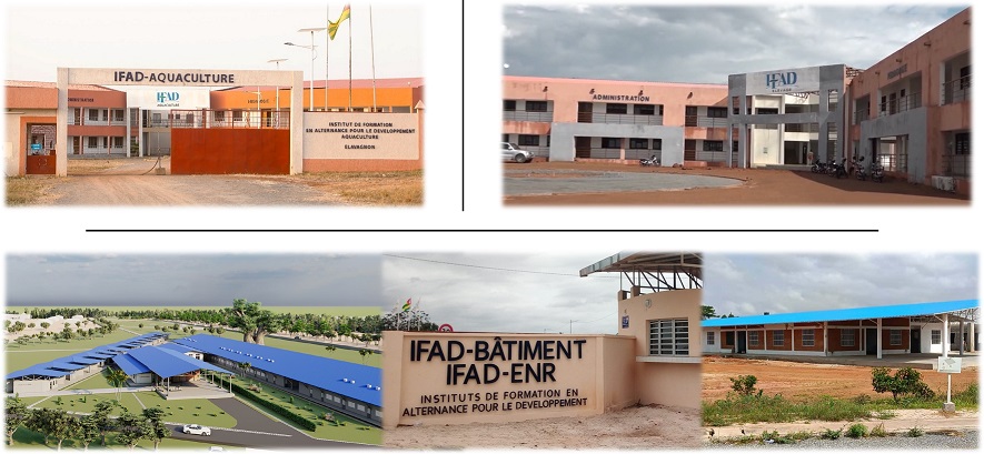Togo : les IFAD s’ouvrent au public - AGRITORCH